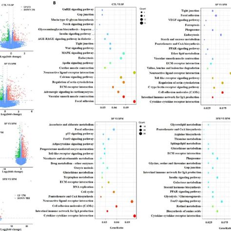 Heatmap Of The Differentially Expressed Gene In Three Specific Kegg Download Scientific Diagram