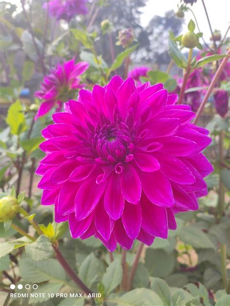abid hossain on linkedin যদি জীবনকে সুন্দর করতে চান । তাহলে সহ্য করা