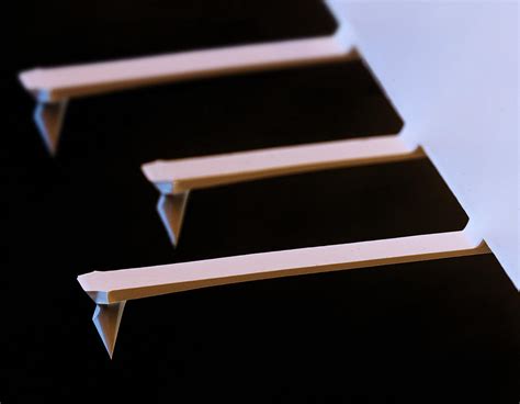 Atomic Force Microscopy Cantilevers Photograph By Meckes Ottawa Fine Art America