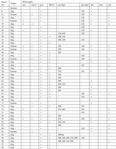 Table 3 From Determination Of Methicillin Resistance And Some Genotypic Characteristics Of