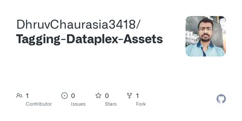 tagging dataplex assets solution at main · dhruvchaurasia3418 tagging