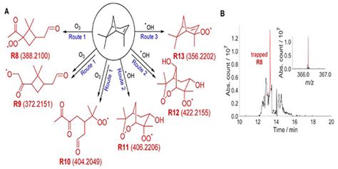 New Approach To Detecting Reactive Radicals Chemistry University Of York