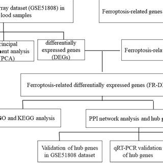 The Flow Chart Of The Data Collection And Analysis Download Scientific Diagram