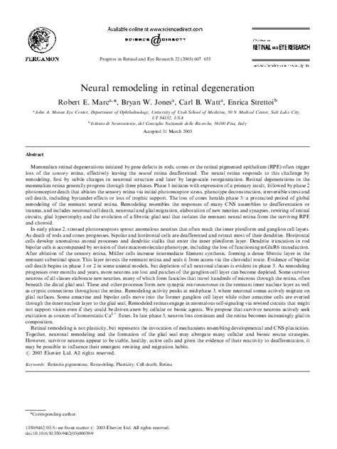 Pdf Neural Remodeling In Retinal Degeneration