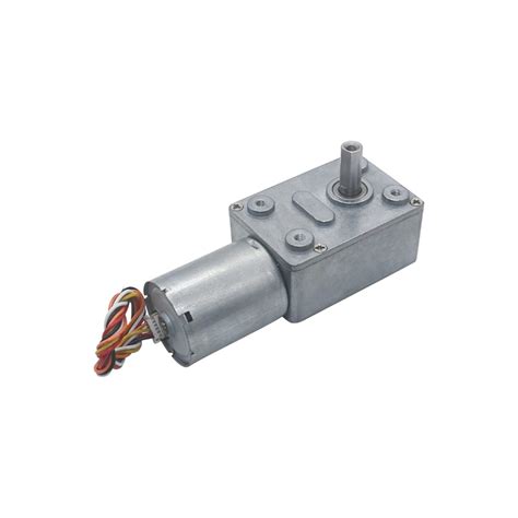 Buy DIY DC Motor V V Brushless Worm Gear DC Motor With Encoder Adjustable BLDC Gear Motor