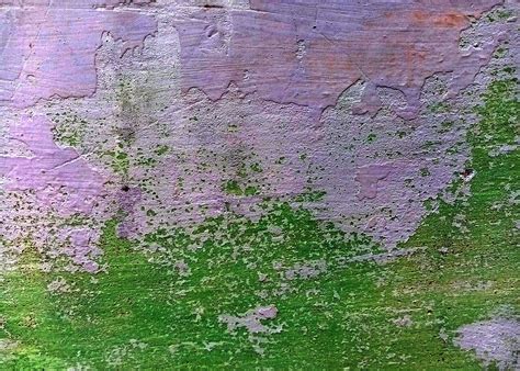 보라색 녹색 페인트 질감 벽 배경 이미지 페인트 조직 배경 배경 일러스트 및 사진 무료 다운로드 Pngtree
