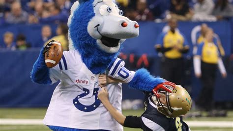 Indianapolis Colts Mascot Blue Through The Years