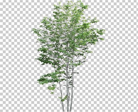 Fraunhofer Institute For Applied Solid State Physics Birch Fraunhofer Society Architecture Dwg