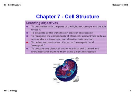 PDF Chapter 7 Cell Structure Cell Structure Pdf Chapter 7 Cell Structure All Living Things