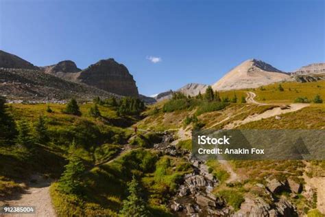 화창한 날에 캐나다에서 록 키 산맥의 숲 위에 아름 다운 하이킹 트레일 0명에 대한 스톡 사진 및 기타 이미지 0명 2차선 고속도로 가을 Istock