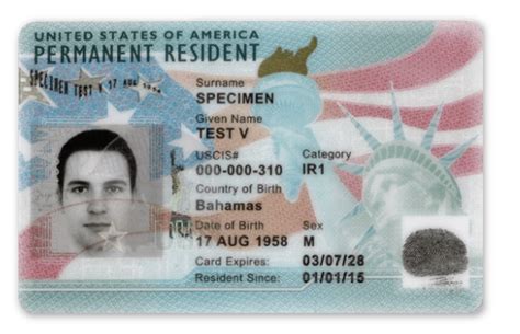 Easy Citizenship Certificate Replacement Guide