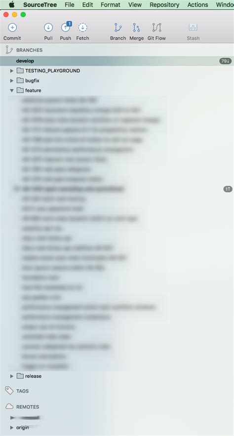 Git How To Batch Remove Local Branches In Sourcetree Which Remote Equivalents Have Been