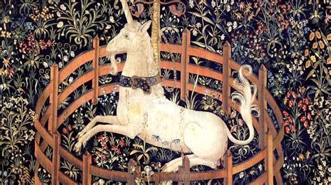 Unicorns Might Have Been Real Suggest Recent Fossil Discoveries Of The One Horned Siberian