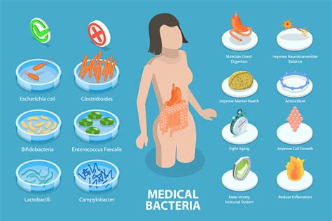 의료용 박테리아의 3d 등각 투영 평면 벡터 개념 그림 3차원 형태에 대한 스톡 벡터 아트 및 기타 이미지 3차원 형태