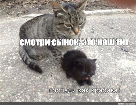 Комикс мем смотри сынок это наш гит Комиксы Meme