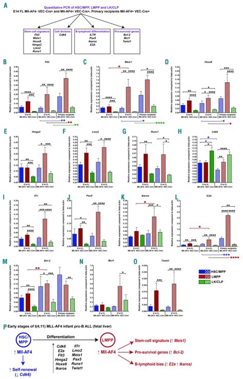 The Fetal Liver Lymphoid Primed Multipotent Progenitor Provides The Prerequisites For The
