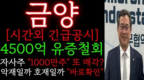 🔴 금양 시간외긴급공시 4500억 유상증자 철회 🔴 류회장의 속내가 뭘까 자사주 또 매각 출자전환 했으니 은행대출 아니면 금양 금양주가 금양전망