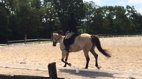 Beginner Novice Test A Youtube