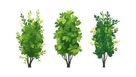 Premium Vector Green Tree Branch With Lush Foliage And Stem Trunk For Game Set Vector Flat