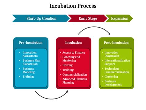 Incubation PowerPoint and Google Slides Template - PPT Slides
