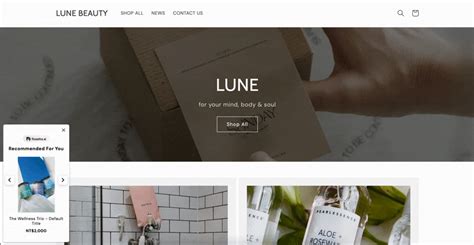 Rosetta Ai How Rosetta Ais Hesitant Customer Detection Converts And Retains More Shoppers