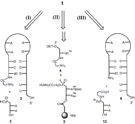 Retrosynthetic Considerations And Key Intermediates Of Synthetic Paths Download Scientific