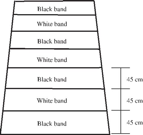 Figure 1 From Detection Of Pedestrian Crossing Using Bipolarity Feature An Image Based Technique
