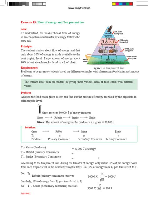 Exercise 15 Flow Of Energy And Ten Percent Law Pdf Systems Theory