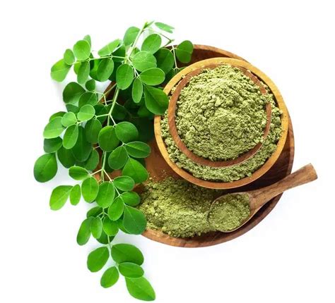 The Benefits Of Moringa In Farming Zylem