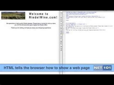 HTML Basics YouTube
