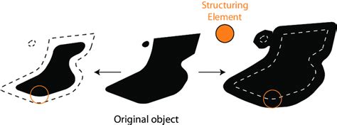 18 Erosion Left And Dilation Right Using A Circular Structuring