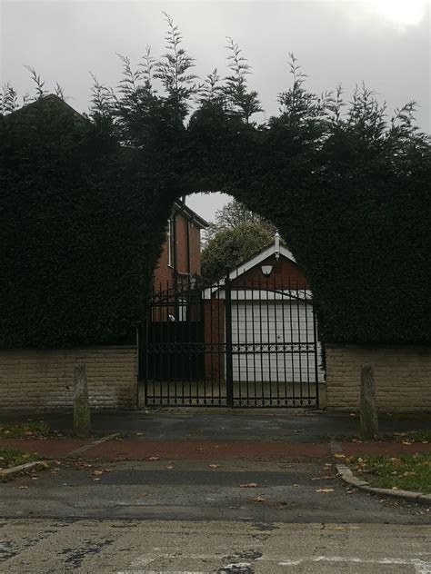 To Make A Fancy Hedge Arch Rtherewasanattempt