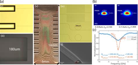 A I Sem Image Showing A Cross Sectional View Of The Ln Waveguide