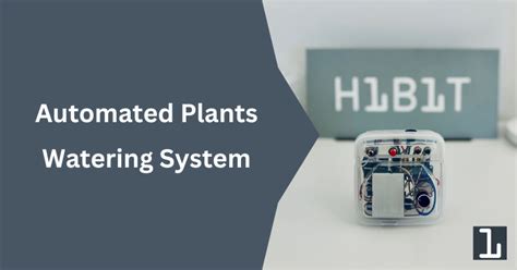 GitHub Hibit Dev Plants Care
