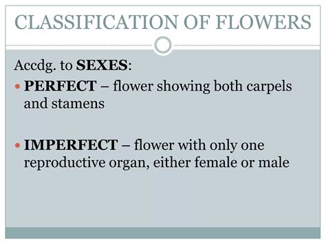 Flowers PPTX
