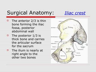 Bone Graft Ppt