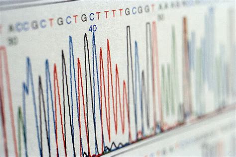 Chromatogram Art Fine Art America