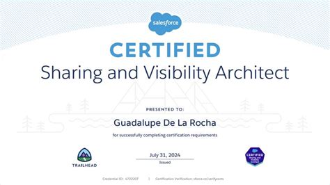 Lu D On Linkedin Salesforce Certification Salesforcearchitect