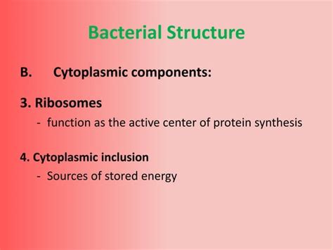 Bacteria Intro Including The Types Of Bactera Ppt Bacteria Intro Including The Types Of Bactera Ppt