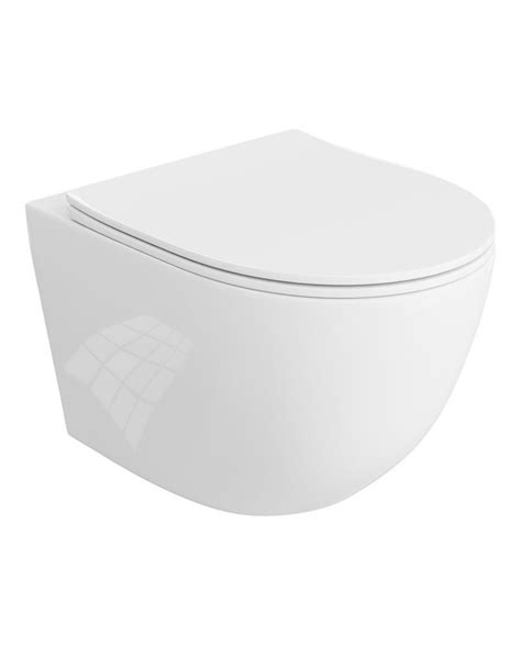 Wall Hung Toliet Sinto White And Concealed Cistern Frame W H Flush Plate Builders Fort