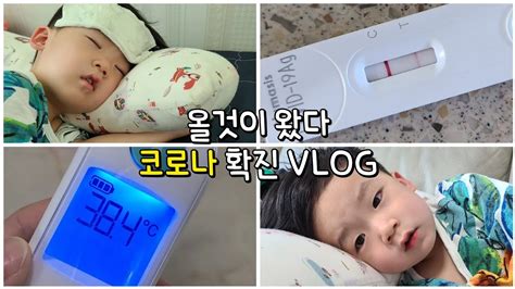 코로나브이로그 피하지못한 오미크론 확진 온가족 릴레이감염 Youtube