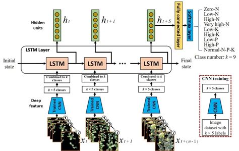 基于深度学习时序动态模型的油菜养分诊断 知乎