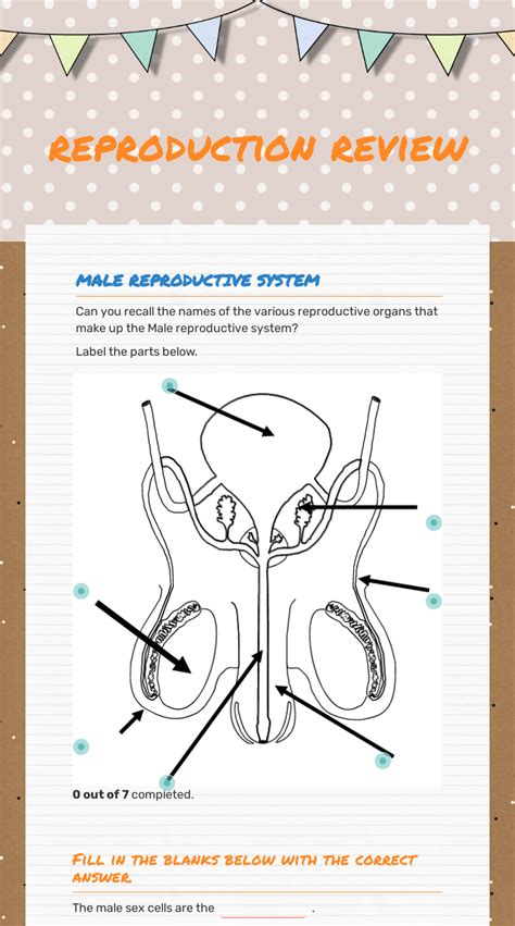 The Male Reproductive System Worksheet Printable Word Searches