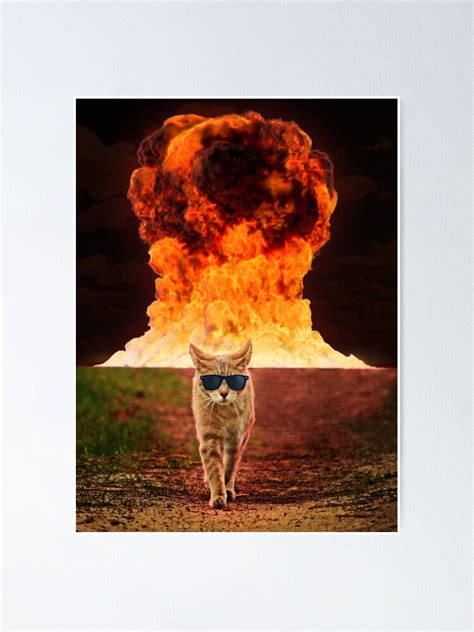 Póster Catástrofe Explosión de gato genial de MeowMerch Redbubble