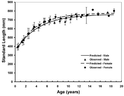Growth Curves For Fish Of Known Sex N As Calculated By The Von Download Scientific