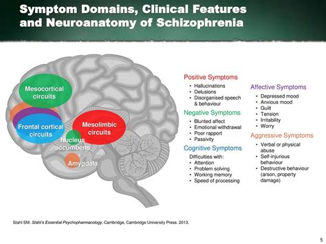 The Science Of Schizophrenia Ppt Download