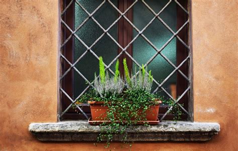 Rustic Windows Wallpapers Top Free Rustic Windows Backgrounds WallpaperAccess