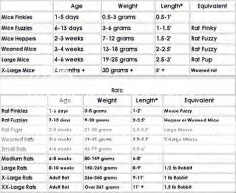 Ball Python Size Chart A Visual Reference Of Charts Chart Master