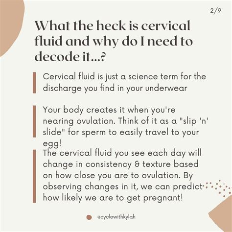 Decoding Your Cervical Fluid