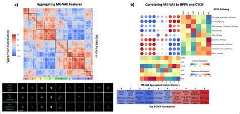Me Vae Feature Aggregation And Transitive Inter Modality Correlation A
